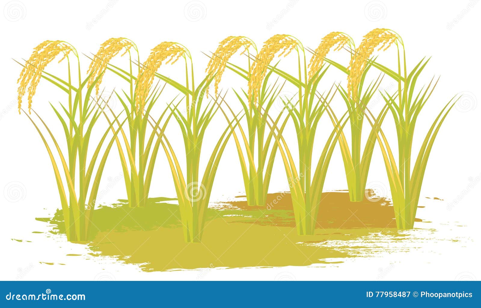 Rice Plant Clip Art