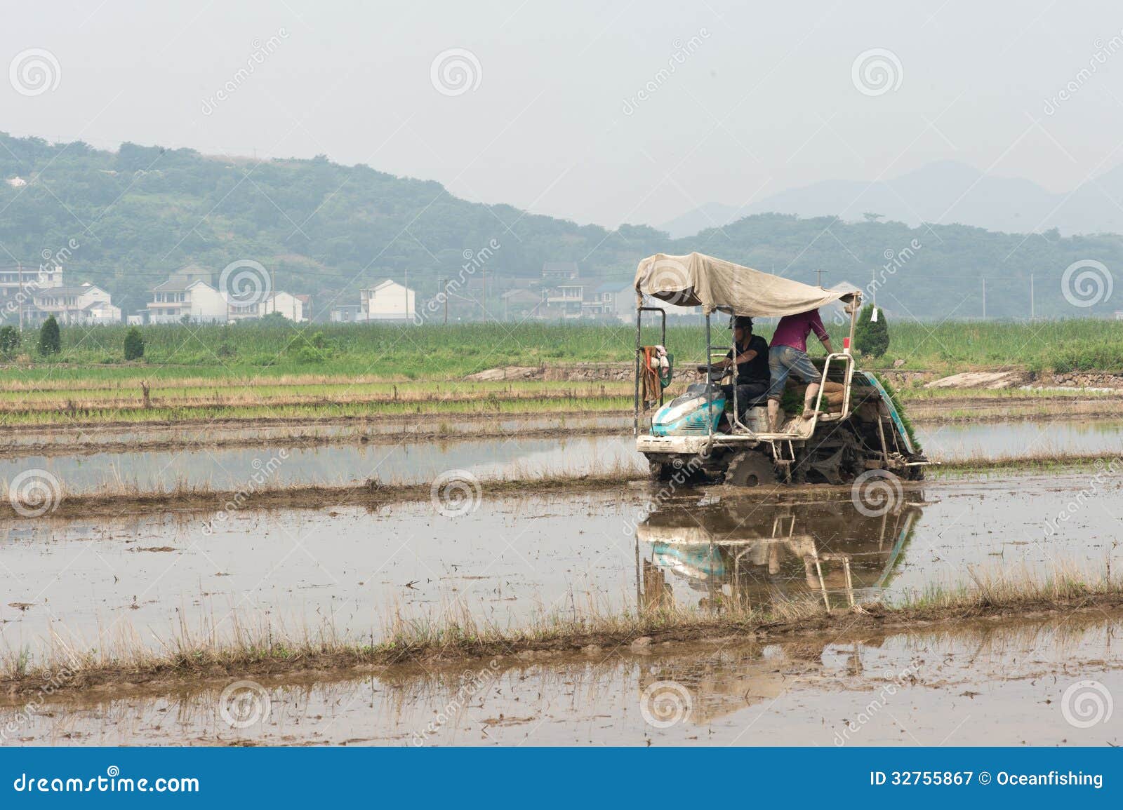 The Rice Planter editorial photography. Image of industry - 32755867