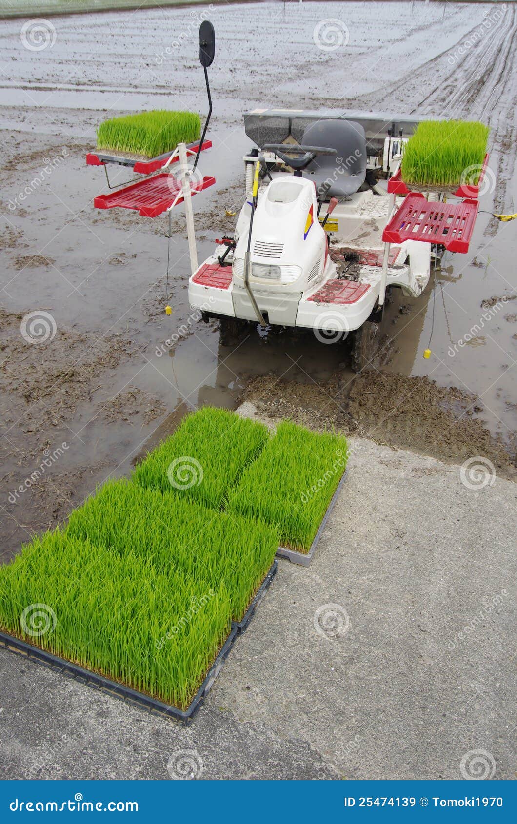 Rice planting by machine stock image. Image of japan - 25474139