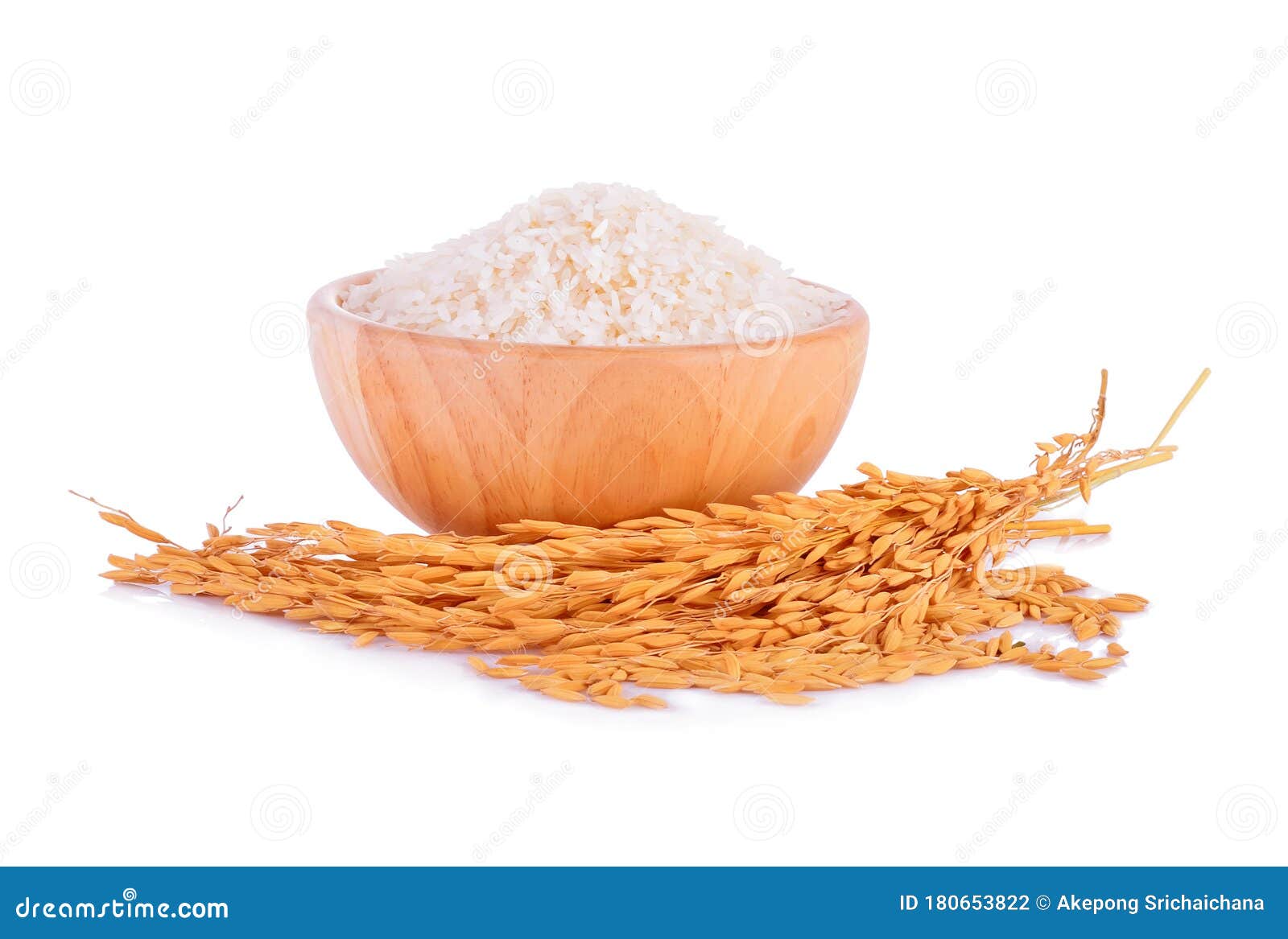 Rice Plants With White Rice And Unmilled Rice Isolated On White Stock ...