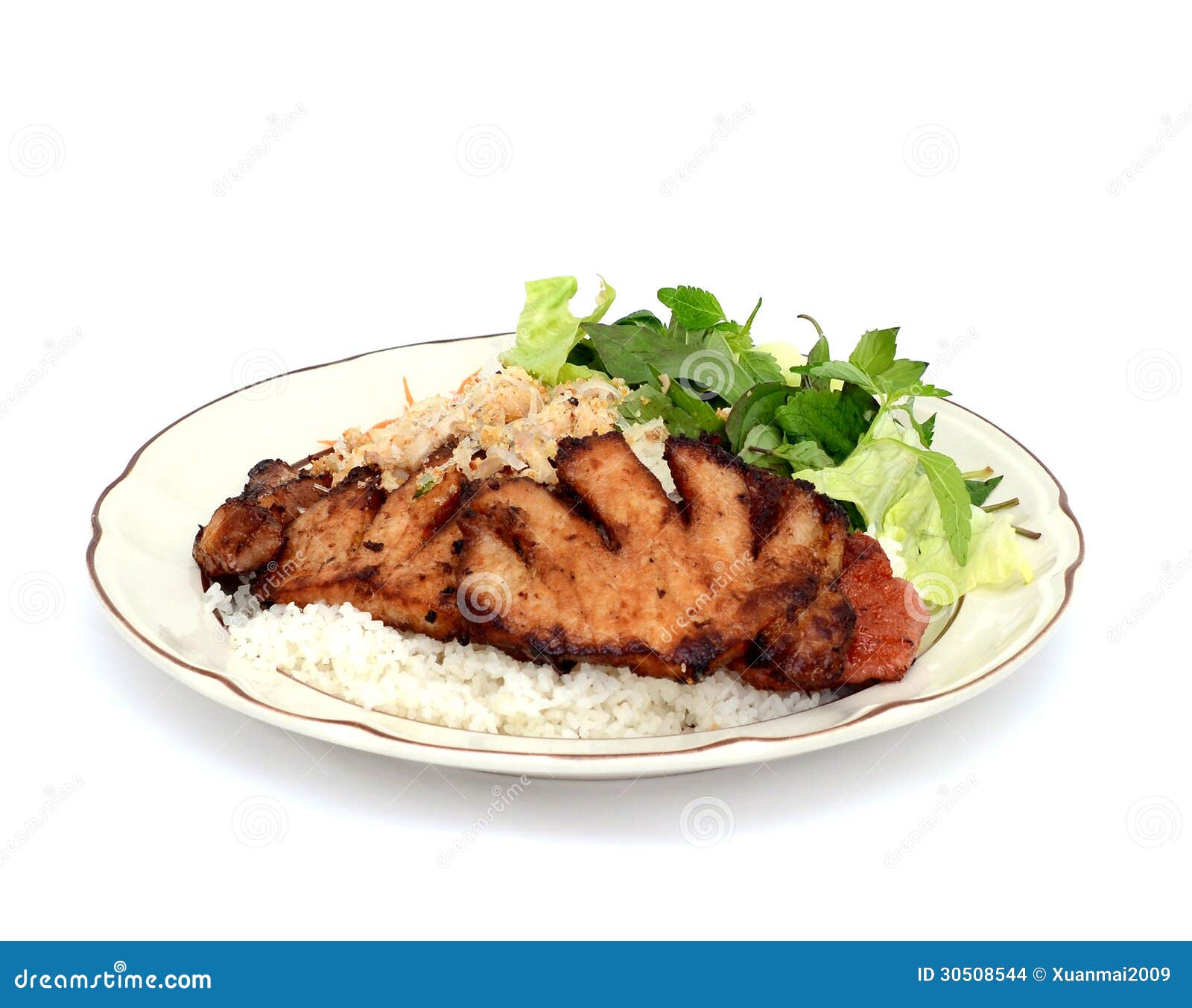 A rice plate meal stock photo. Image of healthy, dish - 30508544