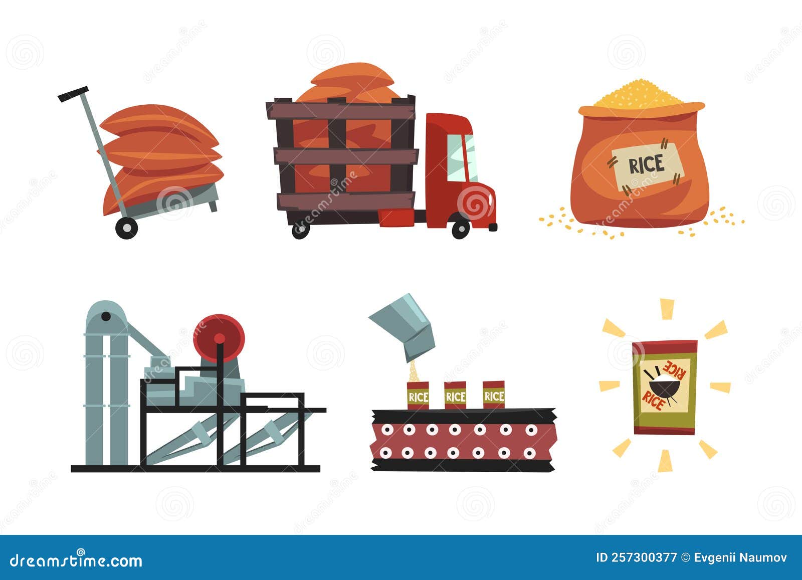 Rice Production Process Set. Rice Drying, Packaging, Transportation ...