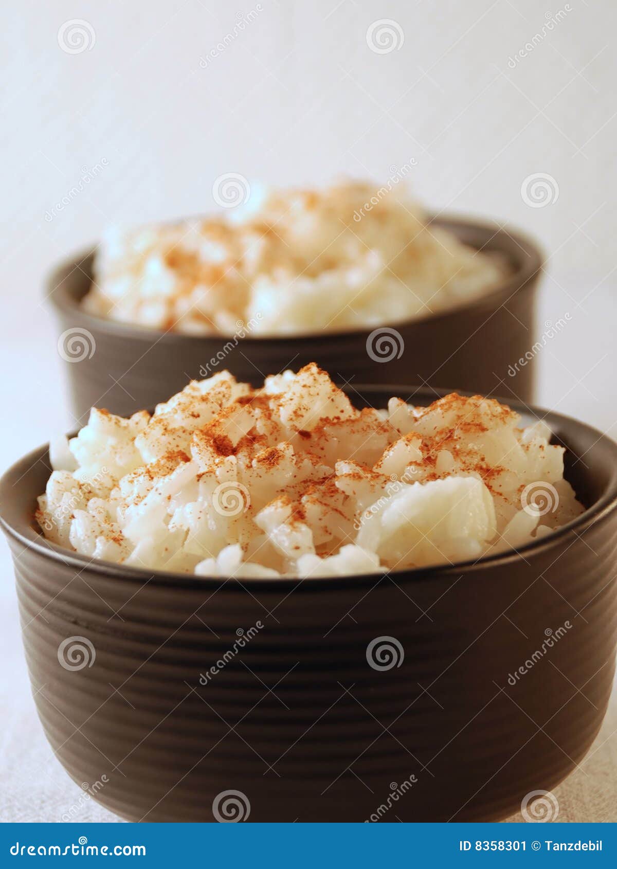 Rice Pudding stock image. Image of bowls, cinnamon, coconut - 8358301