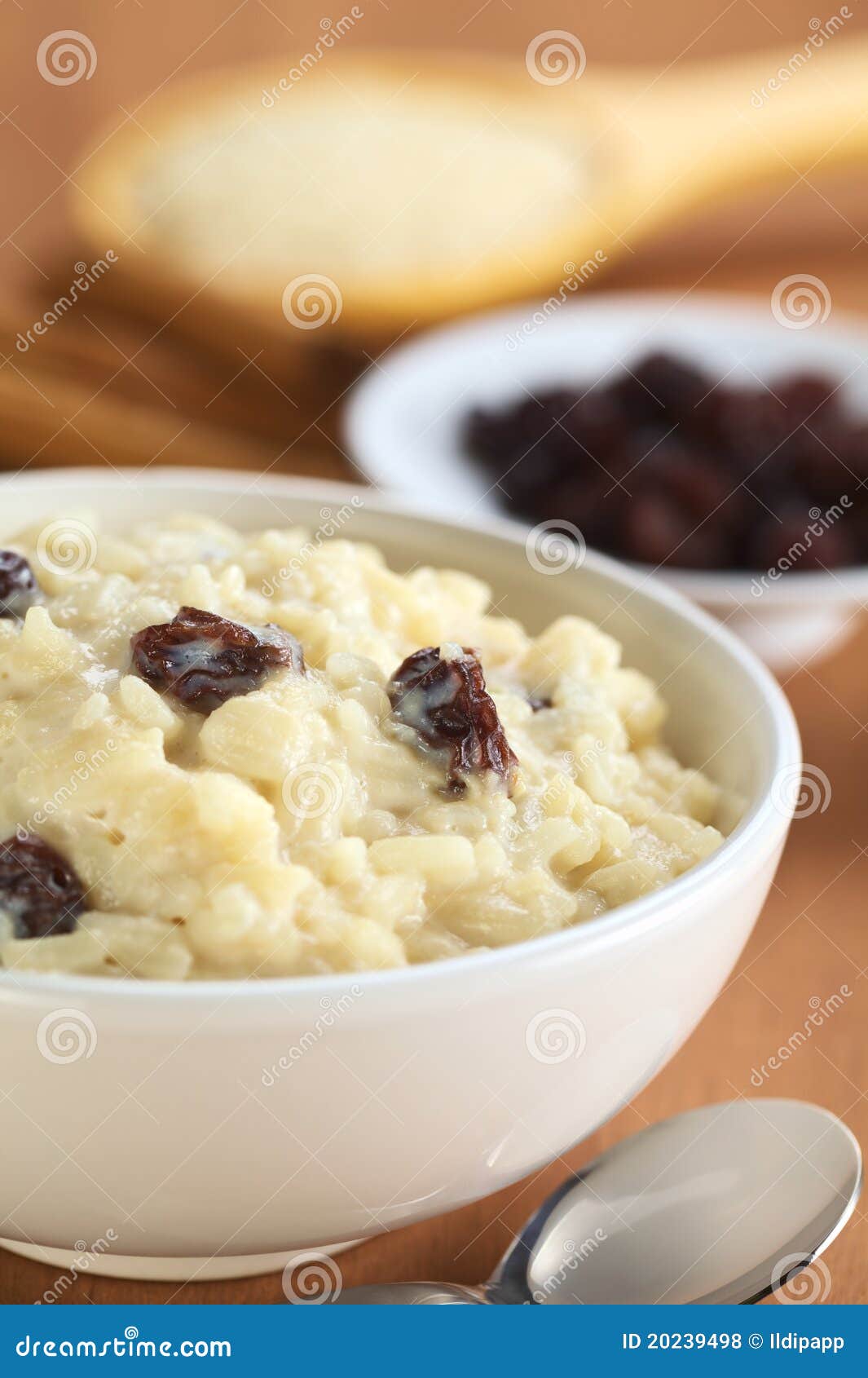 Rice Pudding with Raisins stock photo. Image of fruit - 20239498