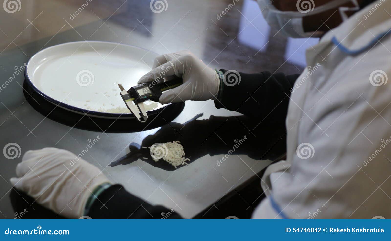 Rice quality test stock photo. Image of rice, hand, quantity - 54746842