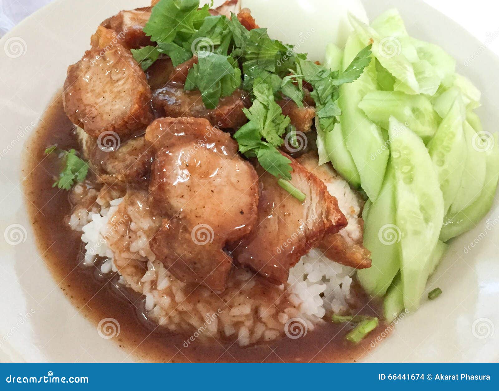 Rice with roasted pork stock photo. Image of roast, studio - 66441674