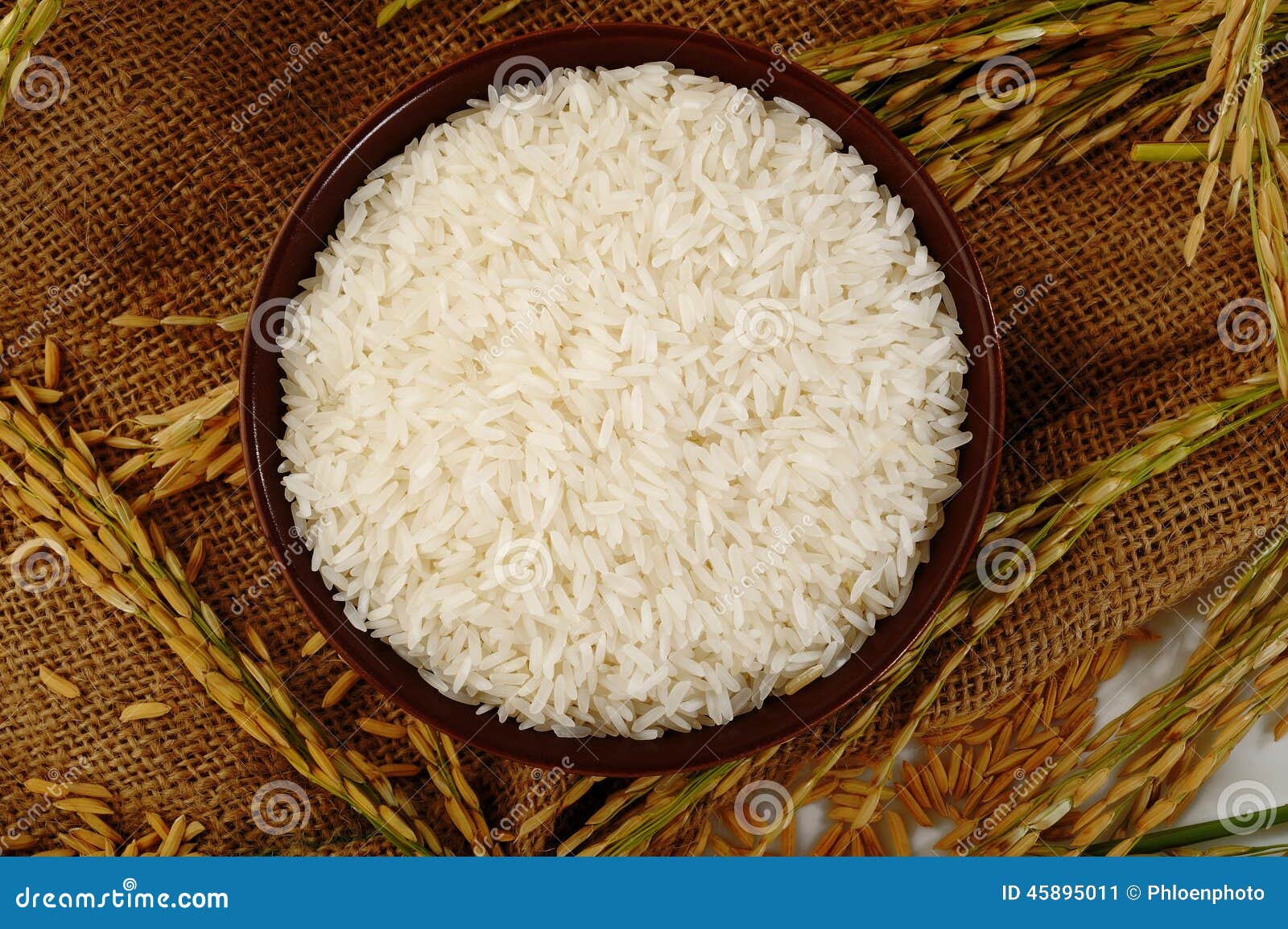Rice on sack stock image. Image of background, paddy - 45895011