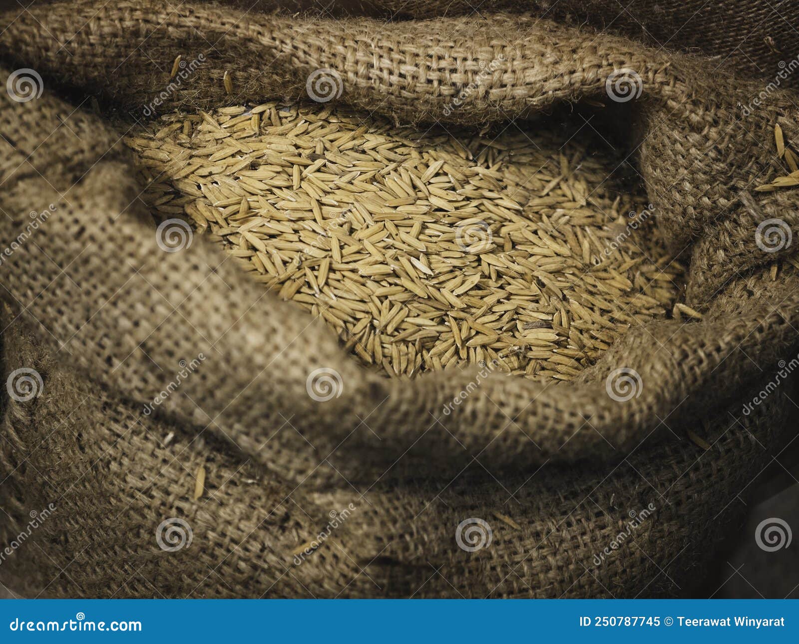Rice in Sack Organic Rice Grain Healthy Food Stock Image - Image of ...