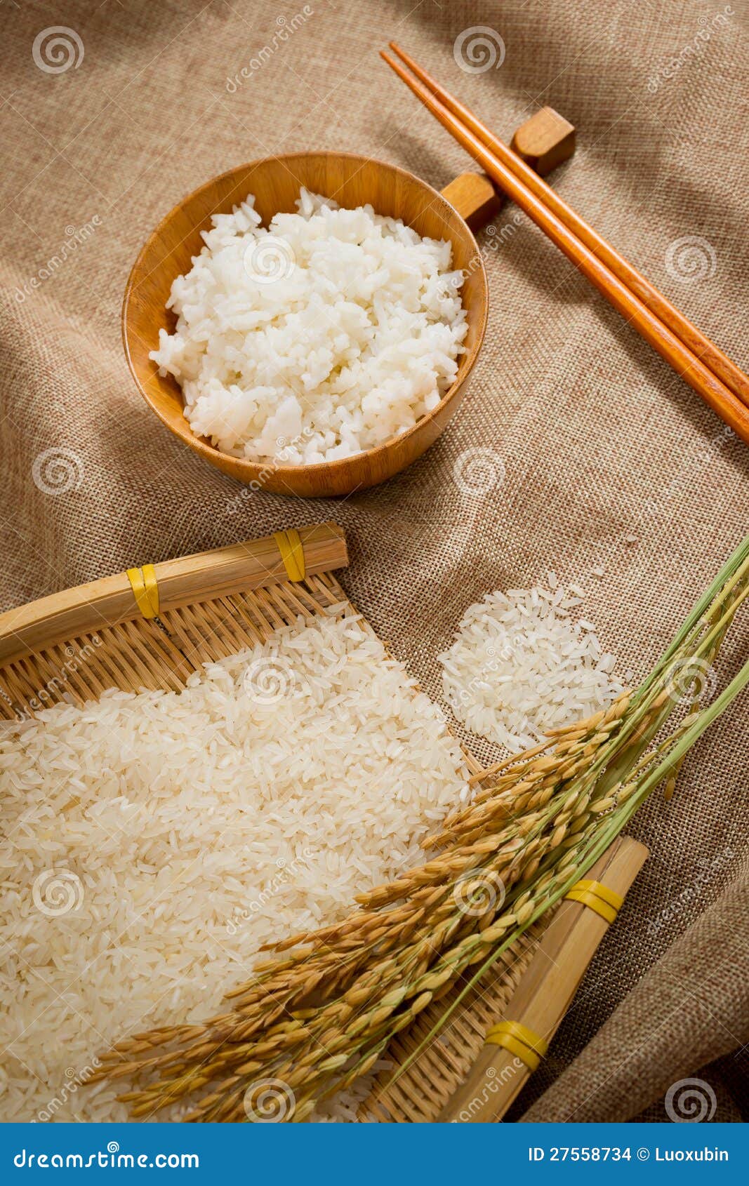 Rice on sackcloth stock photo. Image of cereal, traditonal - 27558734
