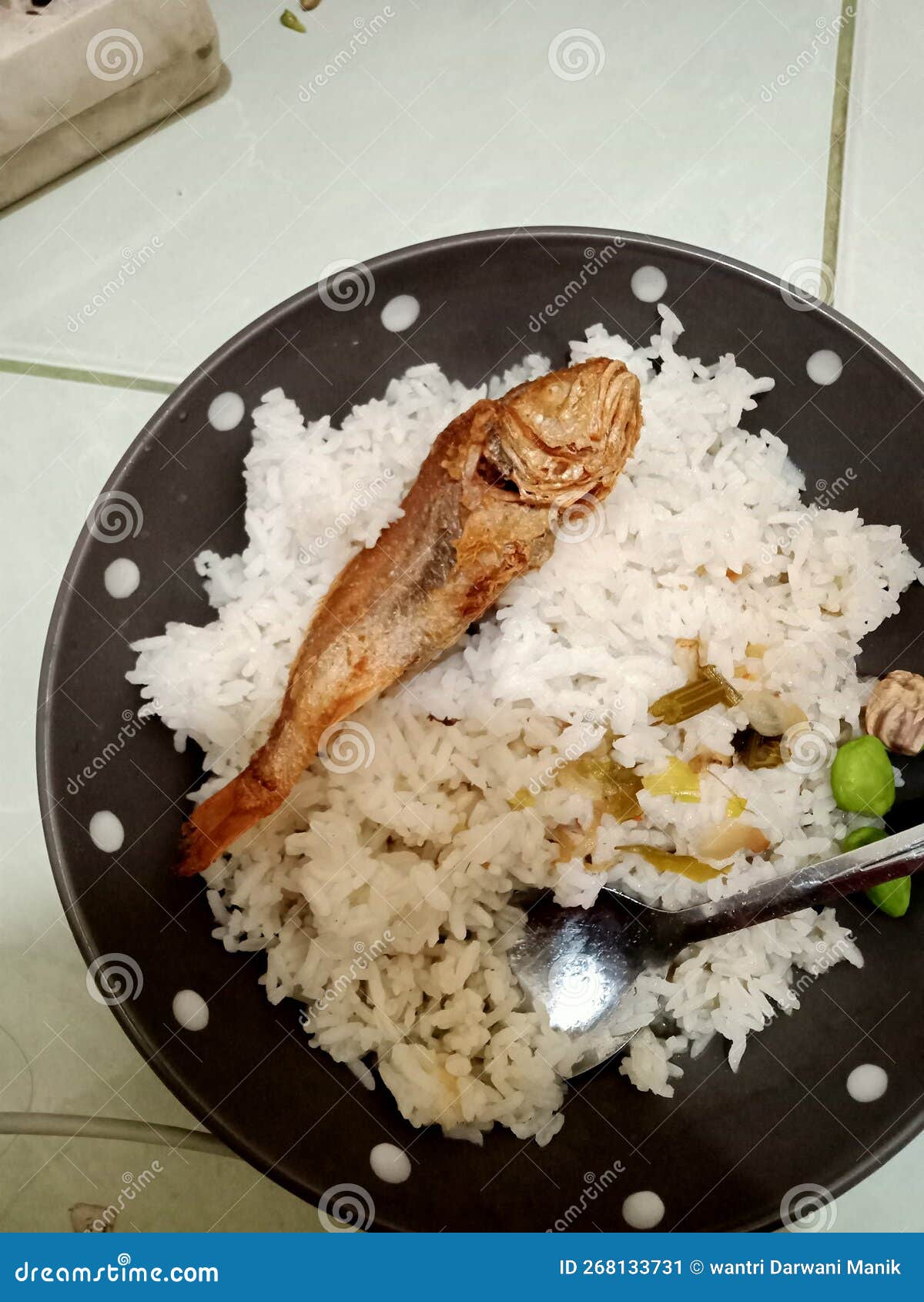 Rice with Salted Fish Named Ikan Asin Stock Image - Image of ikan ...