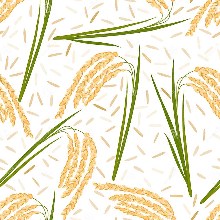 Rice seamless pattern stock vector. Illustration of diet - 77368884