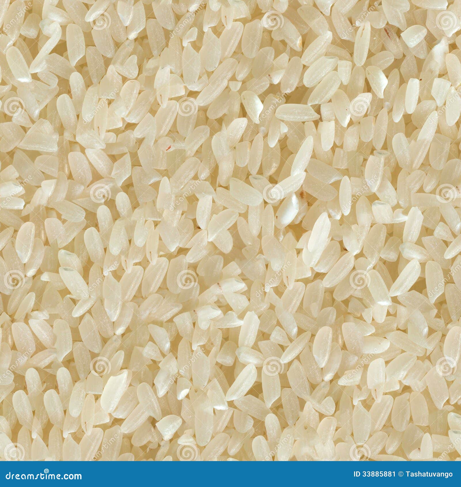 Rice. Seamless Tileable Texture. Stock Image - Image of agronomy ...