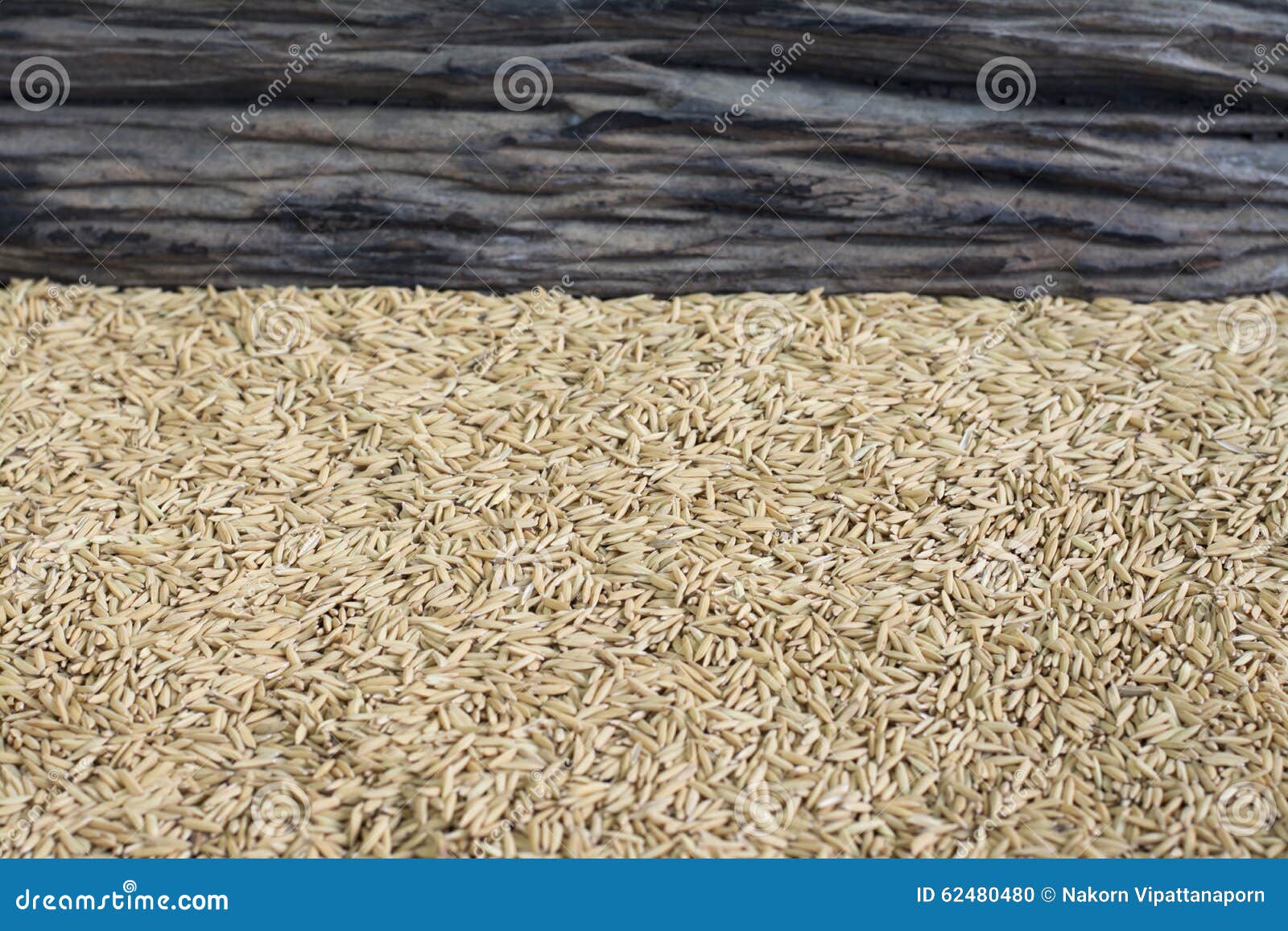 Rice seed background stock photo. Image of cooking, organic - 62480480