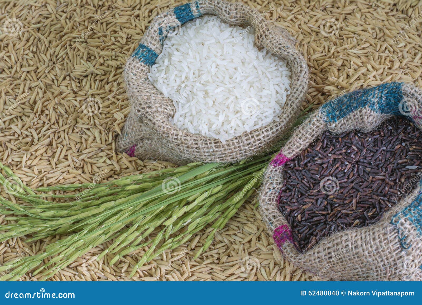 Rice seed stock photo. Image of brown, background, jasmine - 62480040