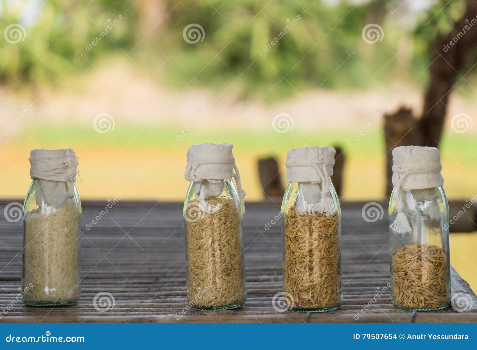 Rice Seed for Paddy Field Packed in Bottles Stock Photo - Image of east ...