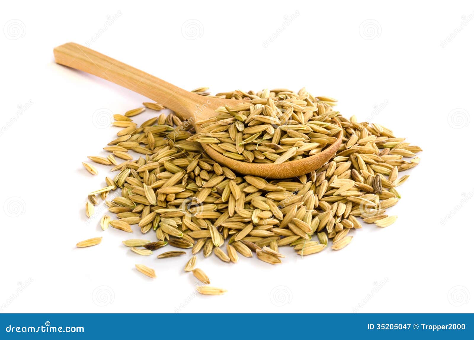 Rice seed. stock image. Image of grain, field, flora - 35205047