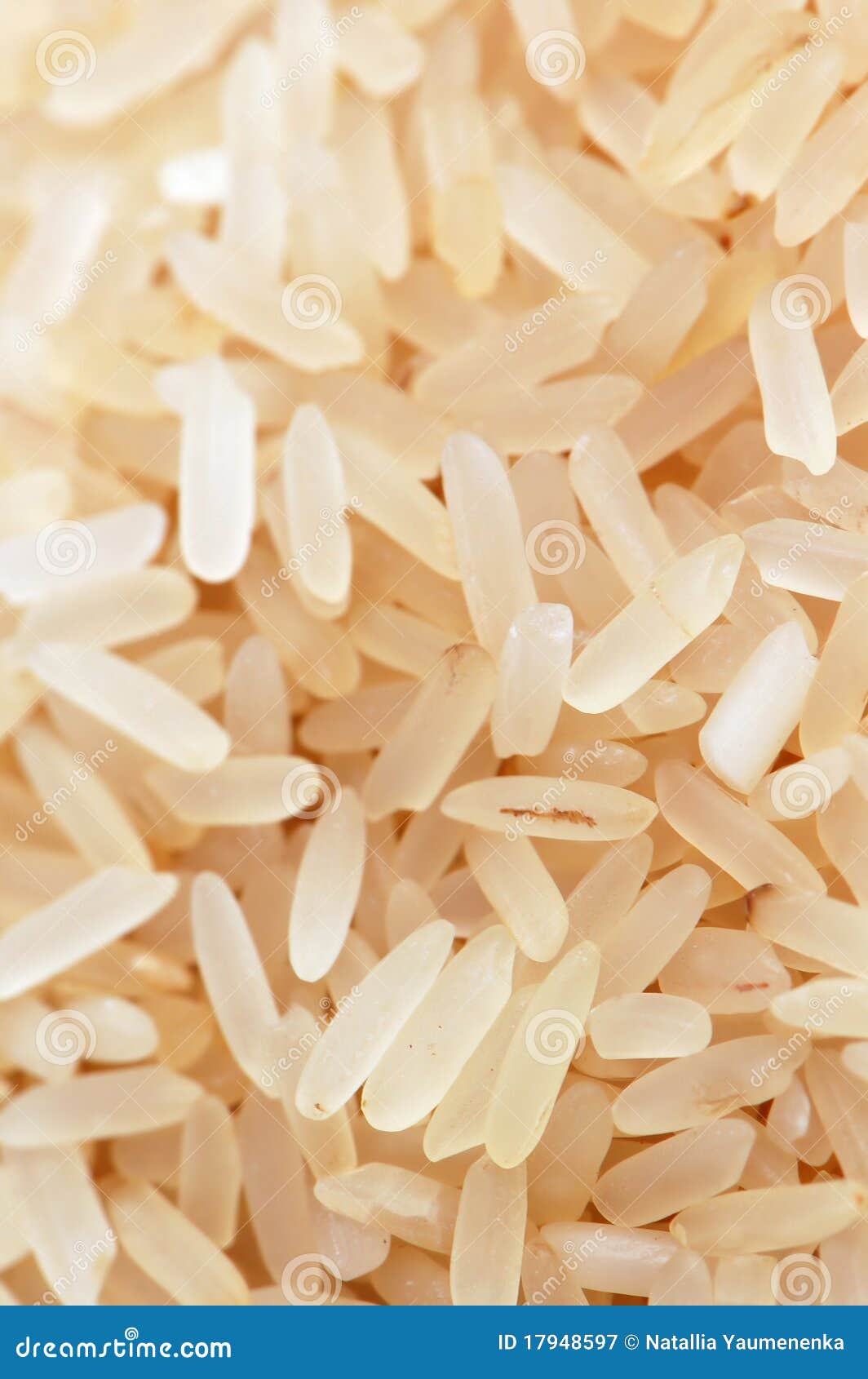 Rice seeds stock image. Image of food, cereal, detail - 17948597