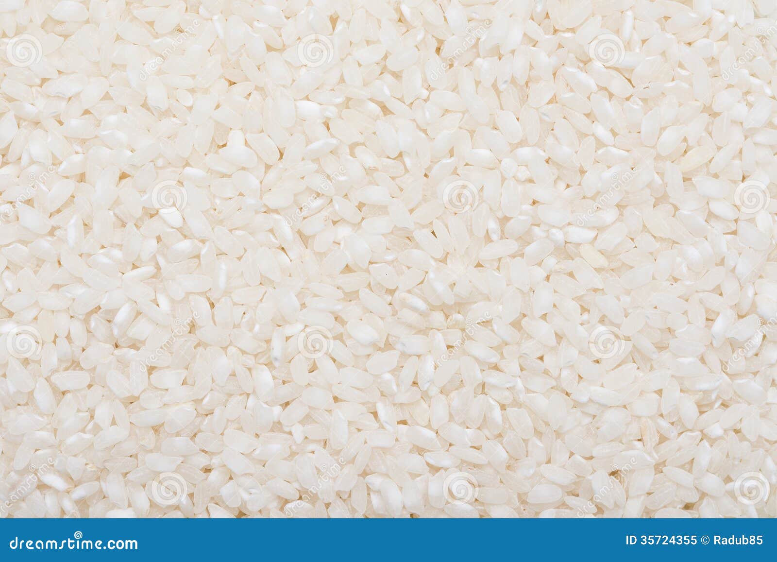 Rice Seeds Background stock image. Image of macro, culture - 35724355
