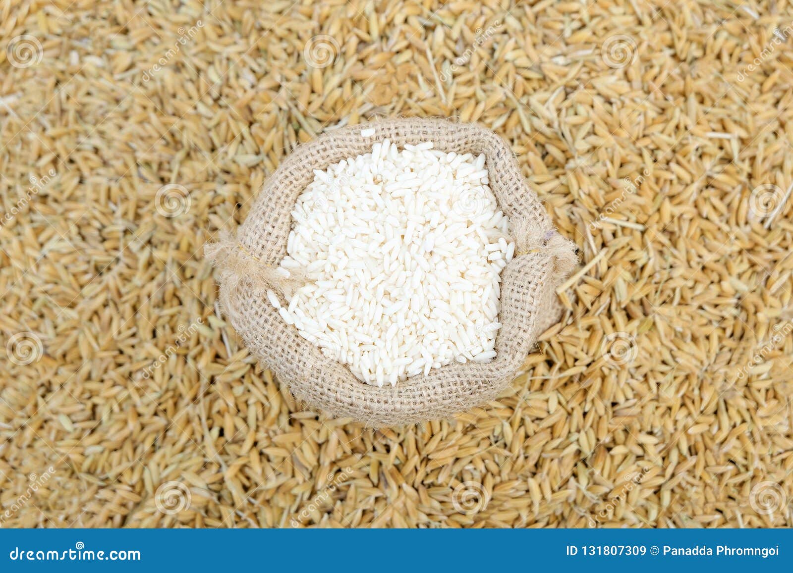 Rice seeds in a bag stock image. Image of farmers, field - 131807309