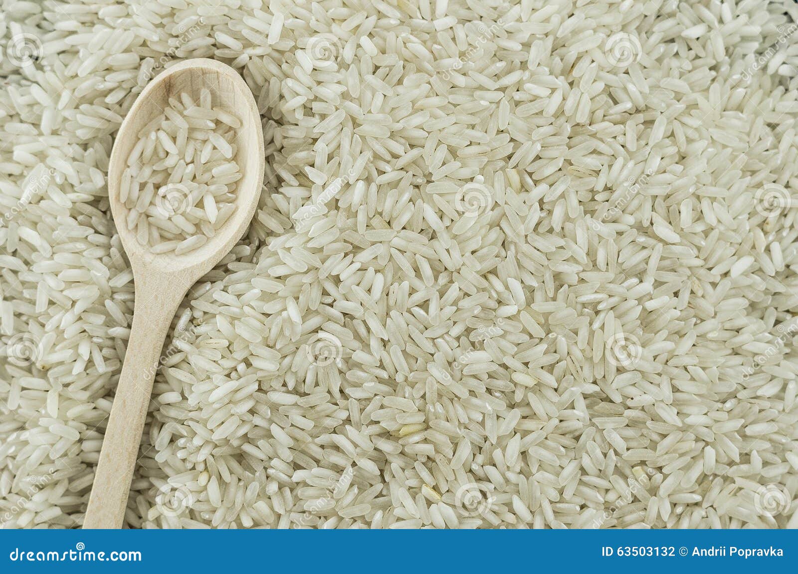 The rice seeds stock photo. Image of crop, spoon, grain - 63503132