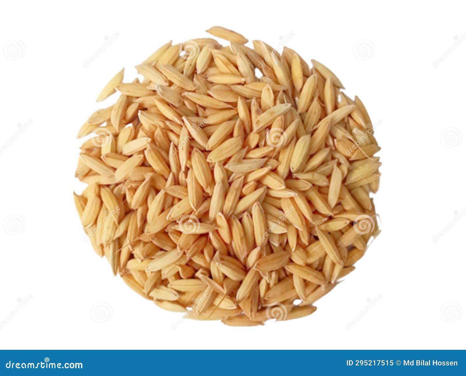 Rice Seeds Isolated on White Background Stock Image - Image of cutout ...