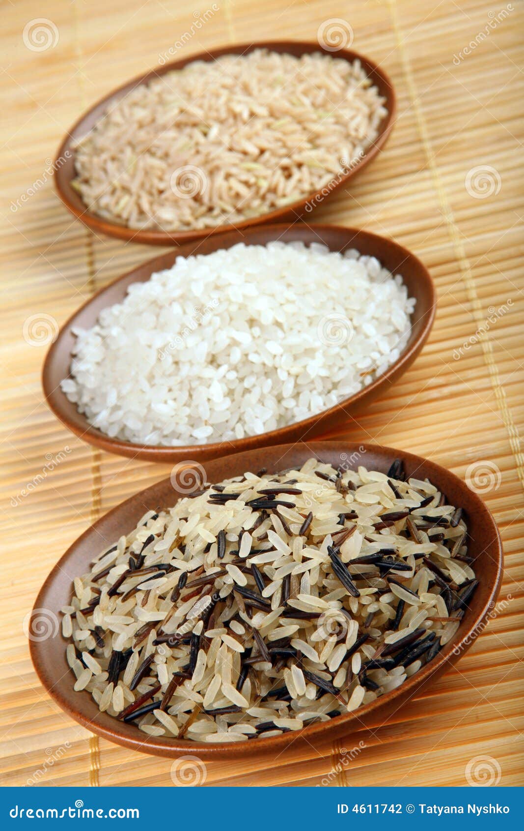 Rice set stock photo. Image of group, background, grain - 4611742