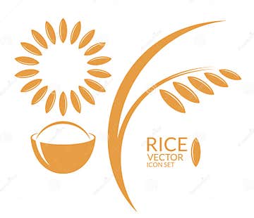 Rice. Set stock vector. Illustration of chinese, paddy - 66208401