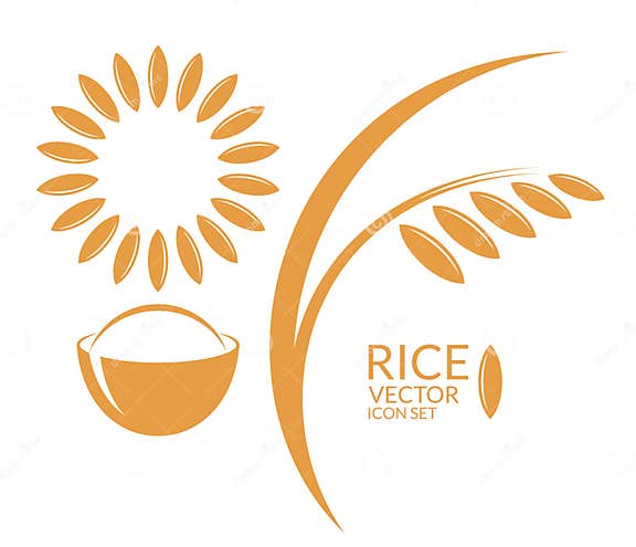 Rice. Set stock vector. Illustration of chinese, paddy - 66208401
