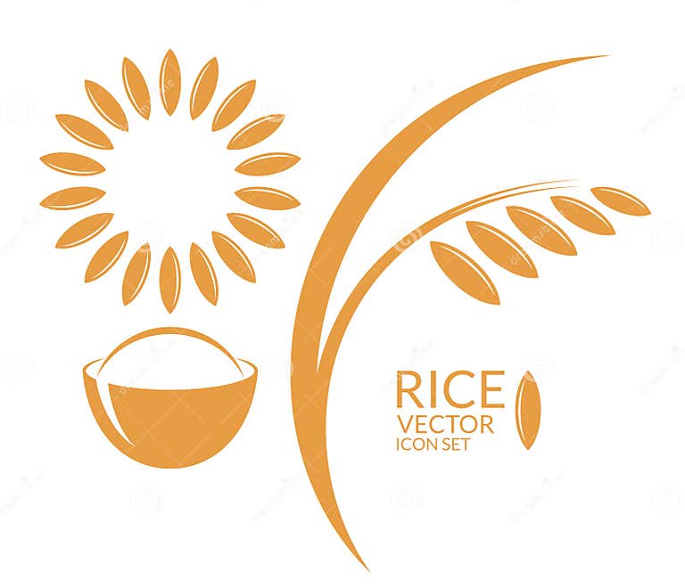 Rice. Set stock vector. Illustration of chinese, paddy - 66208401