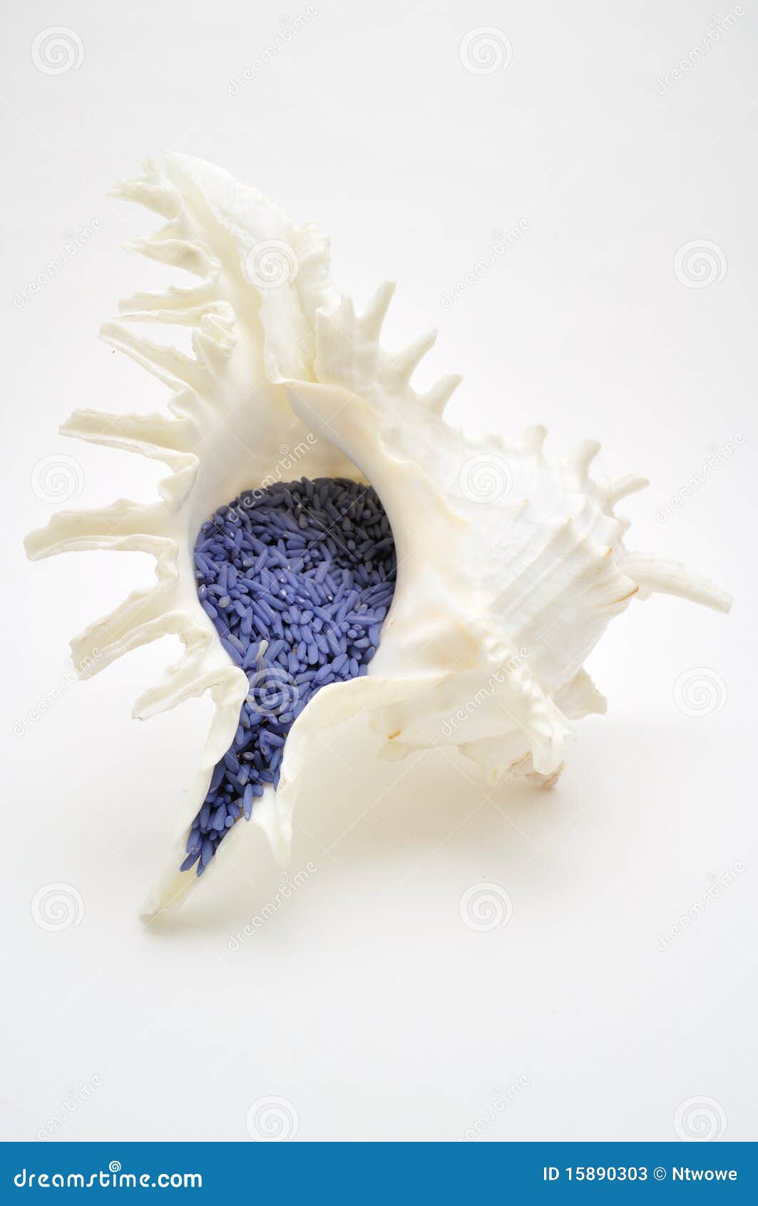 Rice in Shell stock image. Image of macro, close, isolated - 15890303