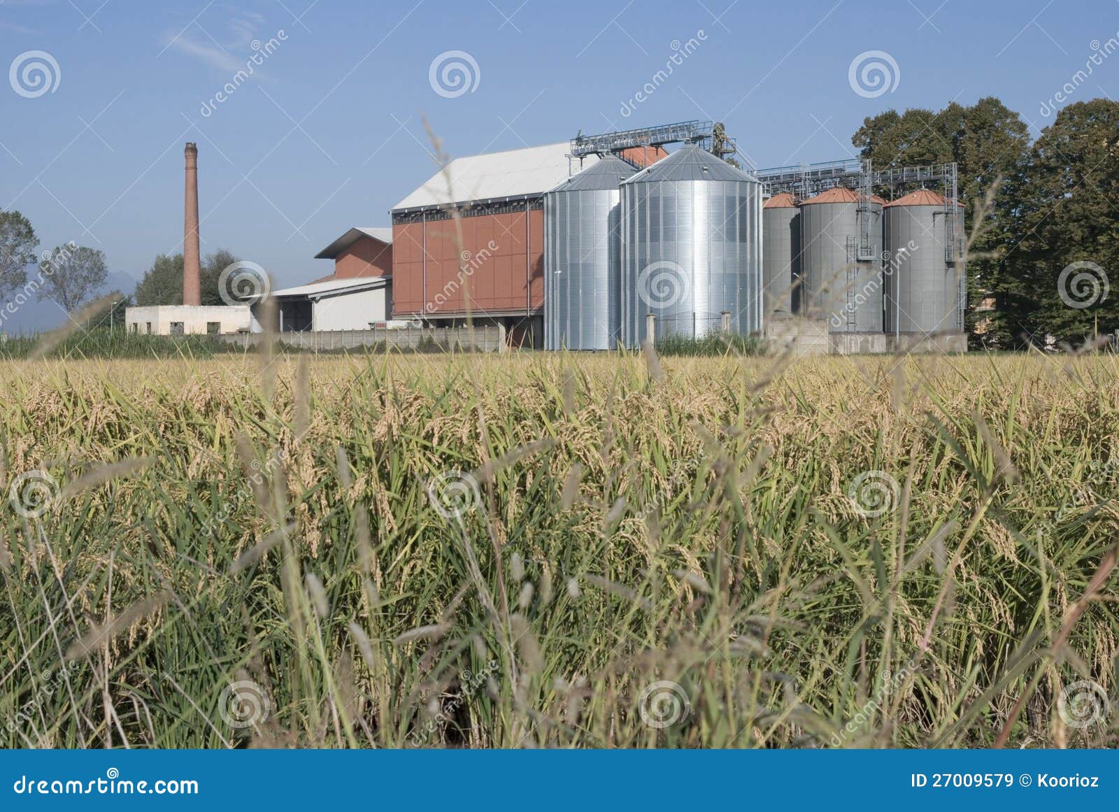 Rice silos and plant stock image. Image of ricefield - 27009579