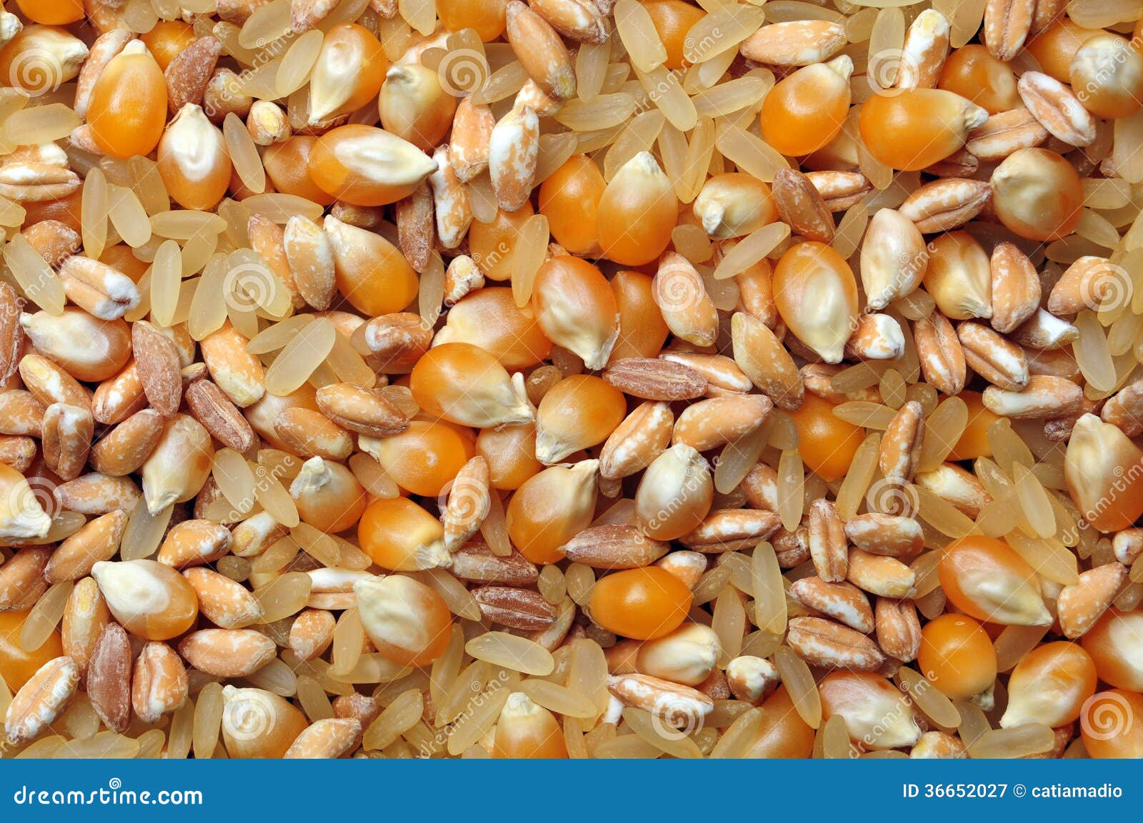 Rice And Maize With Astaxanthin Royalty-Free Stock Image ...