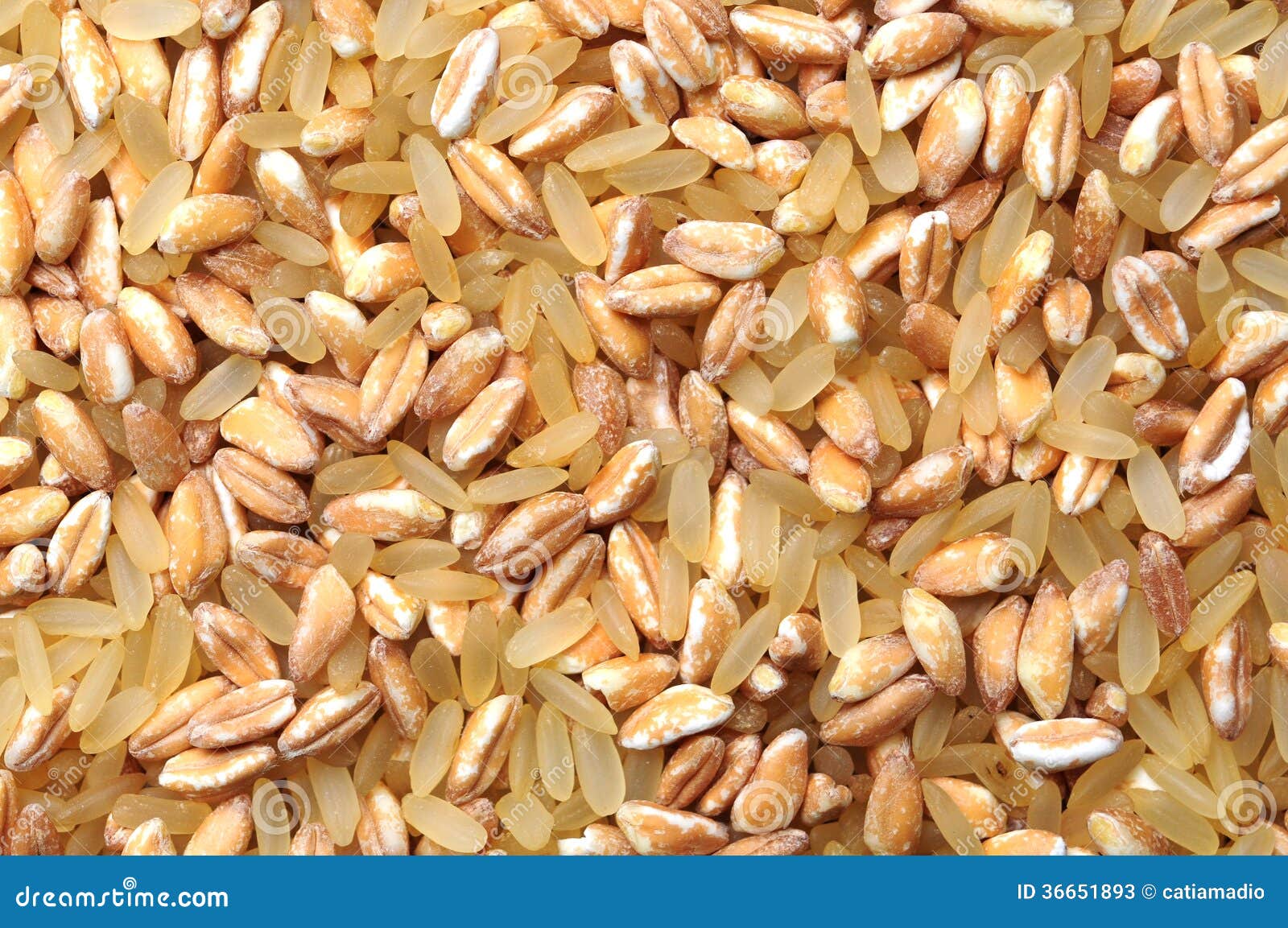 Rice and spelt texture stock image. Image of cereals - 36651893