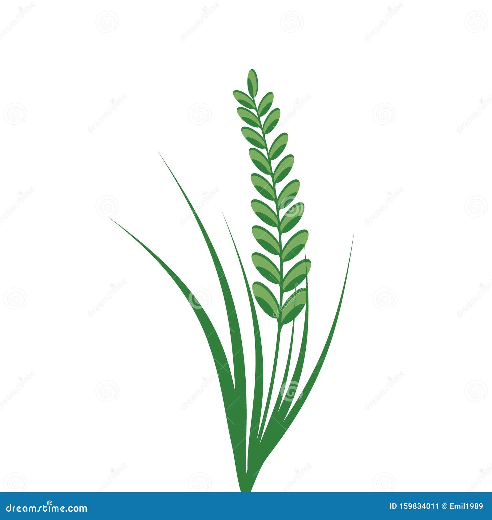 Rice Spikelet Icon. Vector Eps10 Stock Illustration - Illustration of ...