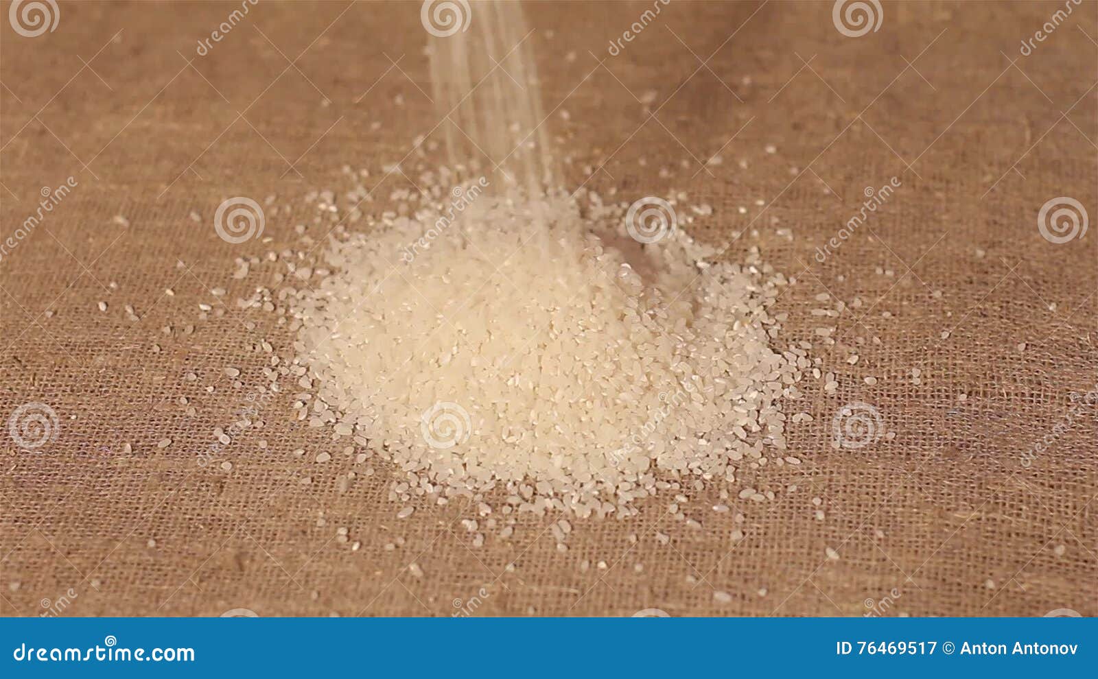 Rice Spilling on Burlap. Harvesting Stock Video - Video of grain ...