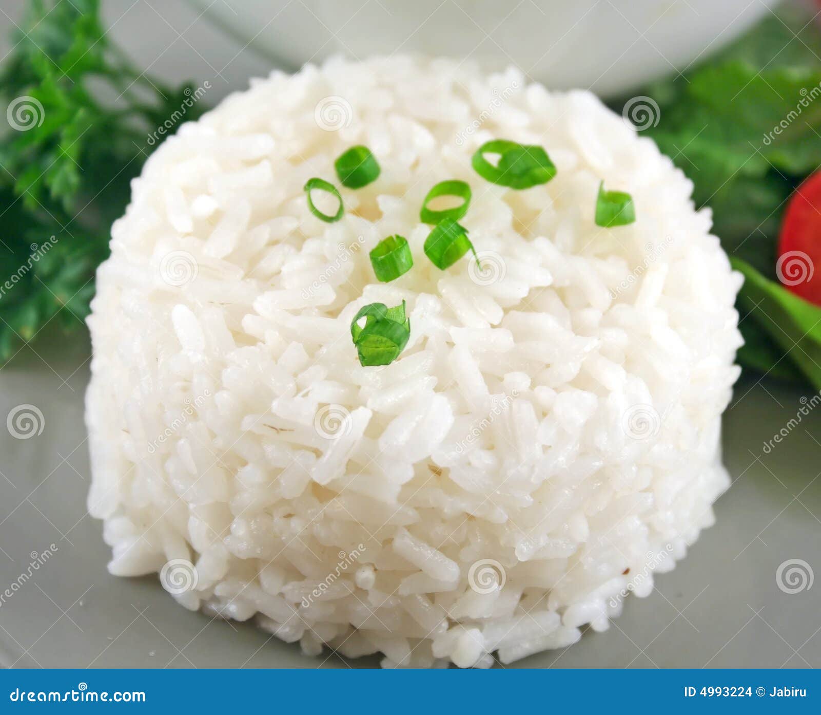 Rice Stack with Garnish stock photo. Image of garnish - 4993224
