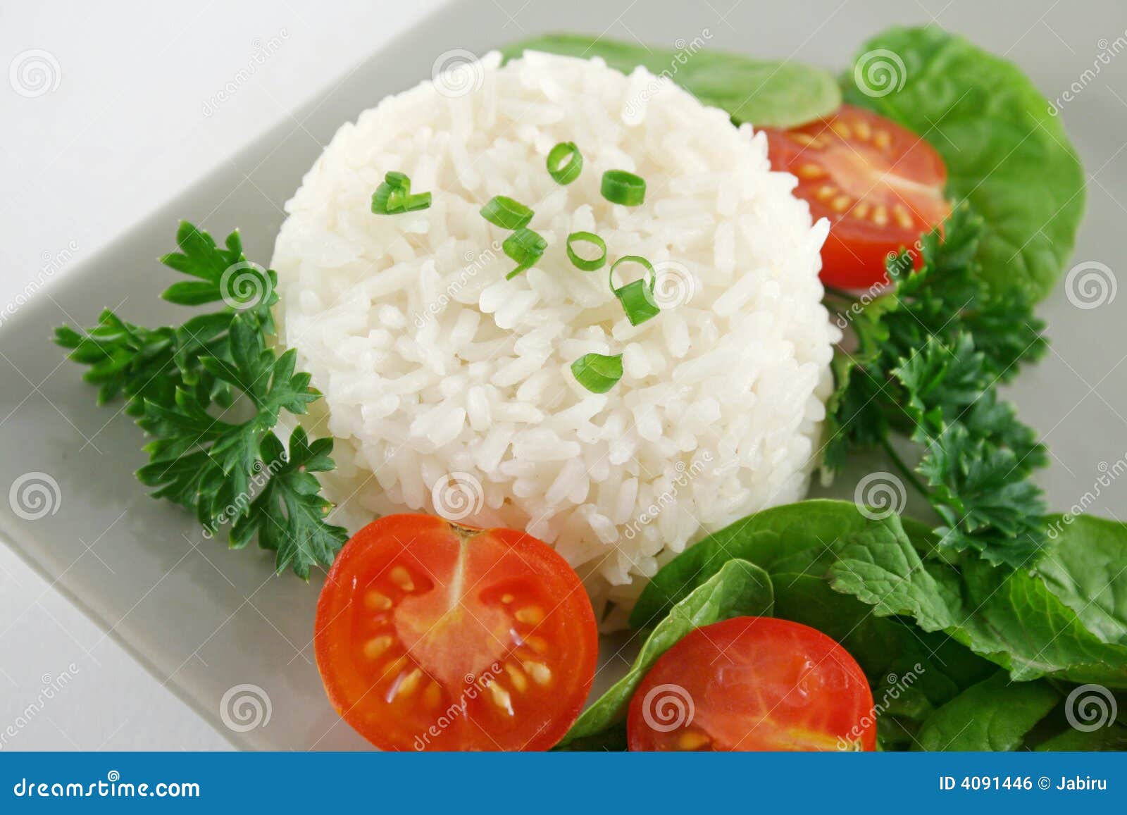 Rice Stack and Salad stock photo. Image of restaurant - 4091446