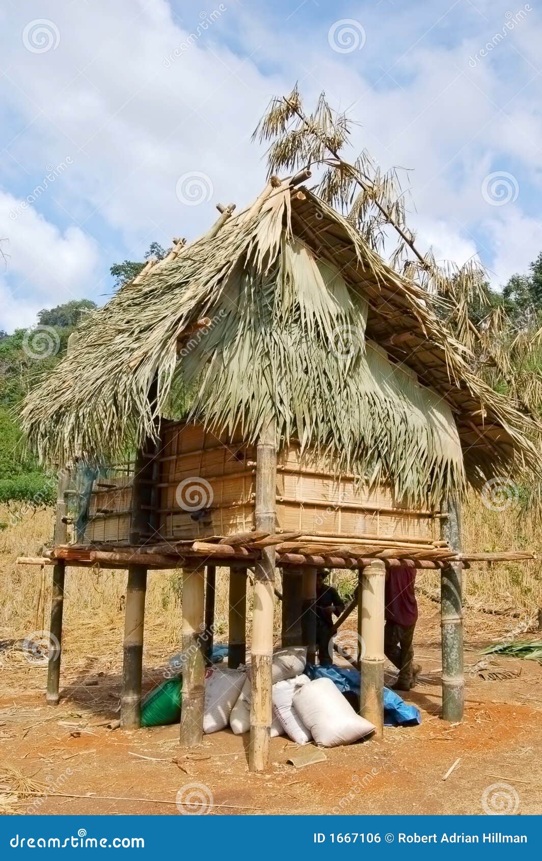 Rice store stock photo. Image of shack, shelter, store - 1667106