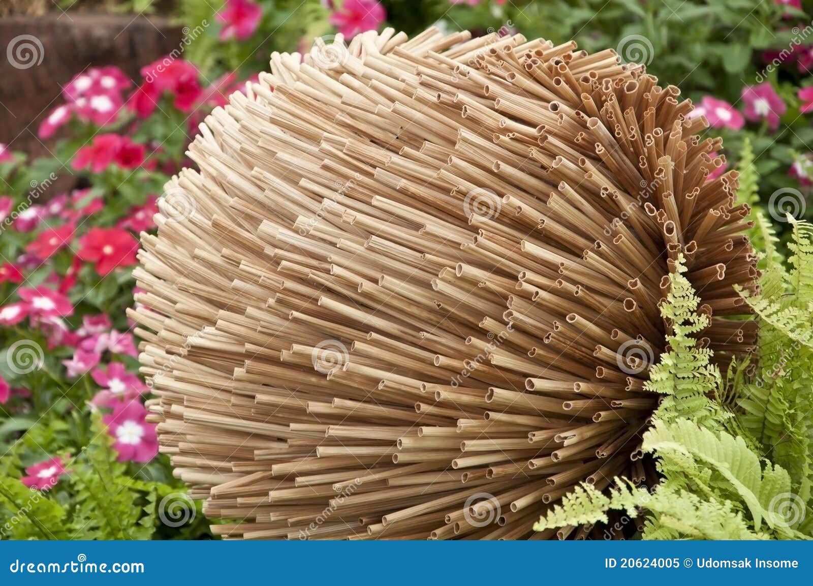 Rice straw stock image. Image of leaf, color, farm, country - 20624005