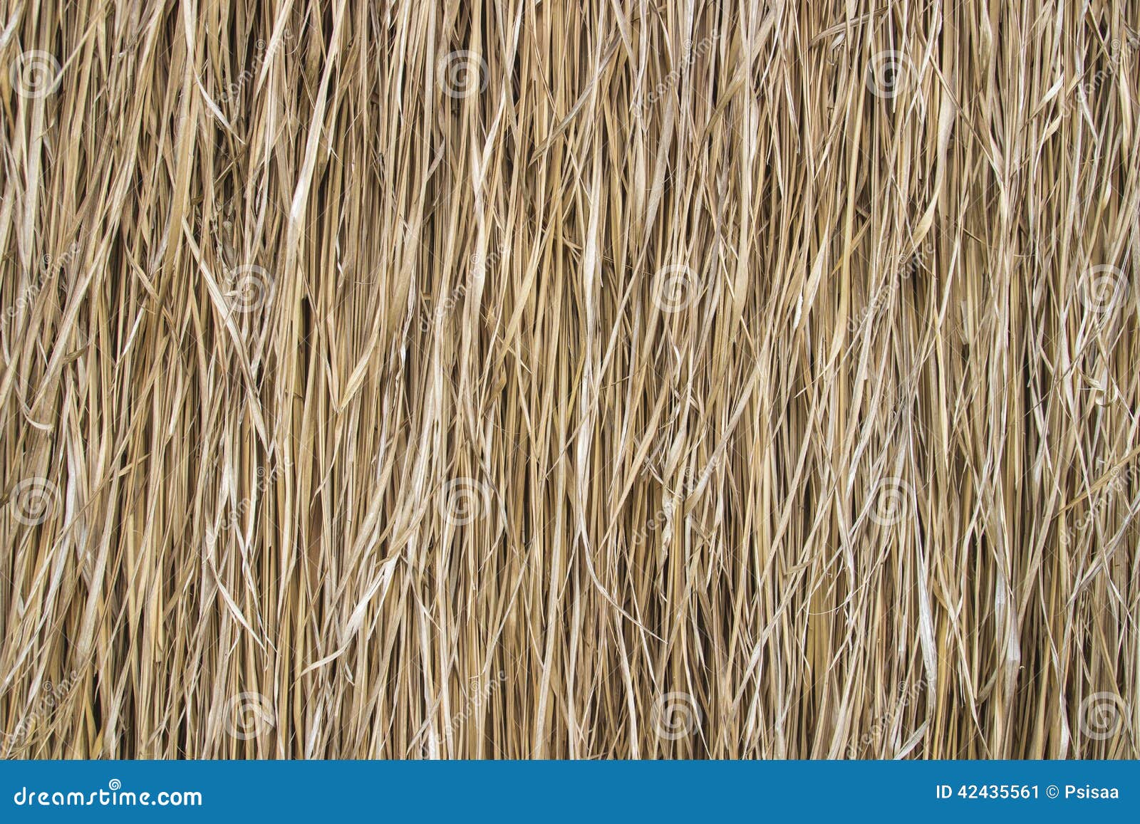Rice straw background stock image. Image of agriculture - 42435561