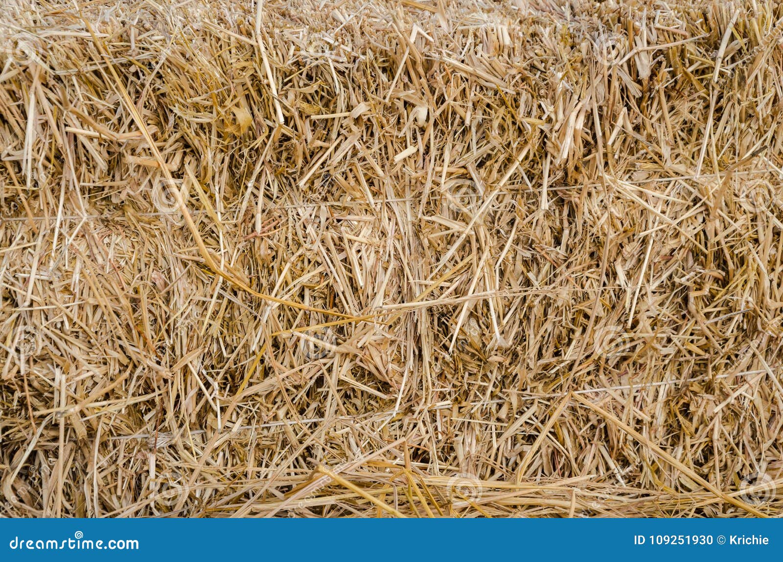Rice straw background stock photo. Image of rural, feed - 109251930