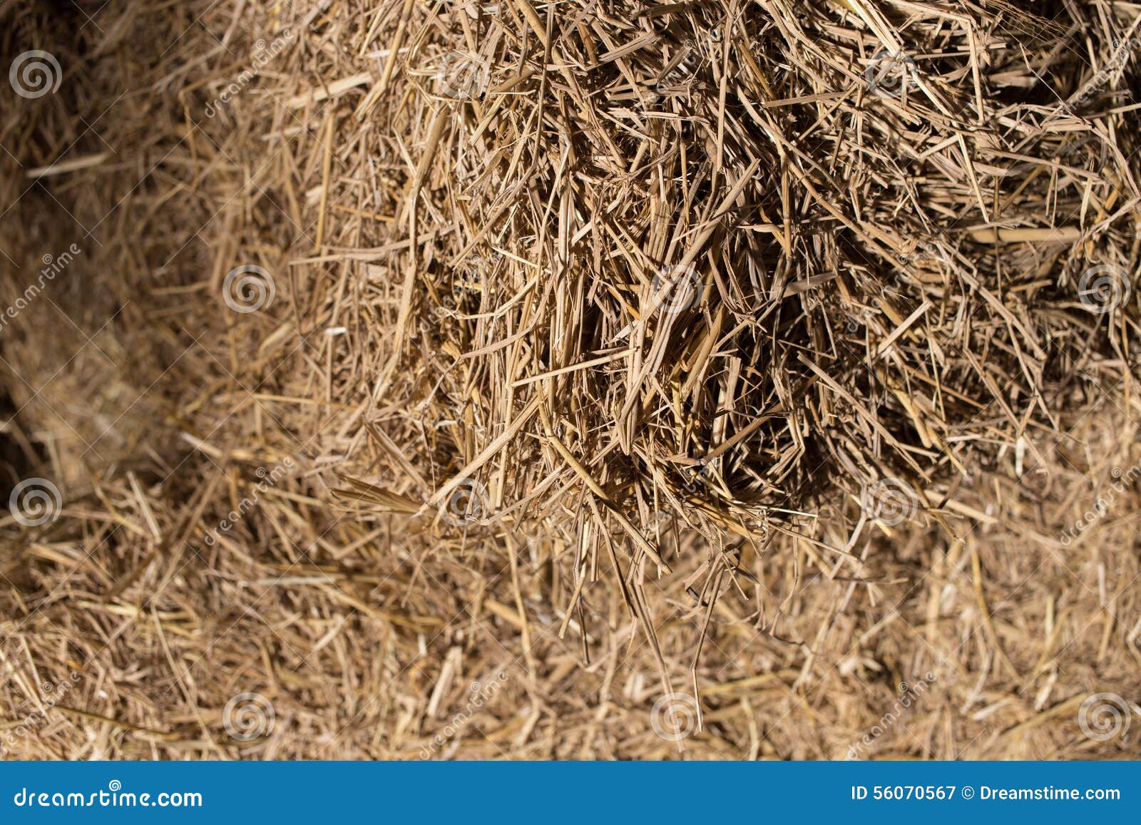 Rice straw stock image. Image of background, farm, copy - 56070567