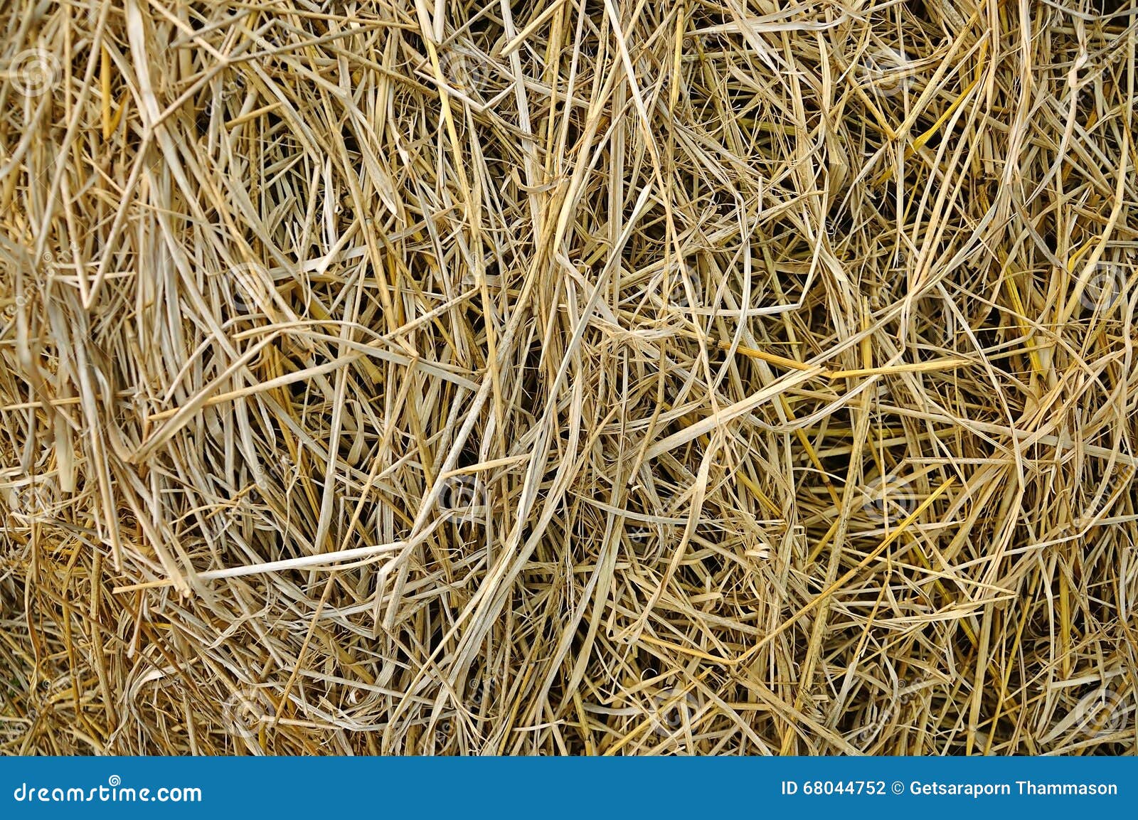 Rice Straw Farm Background Stock Photo | CartoonDealer.com #68044752