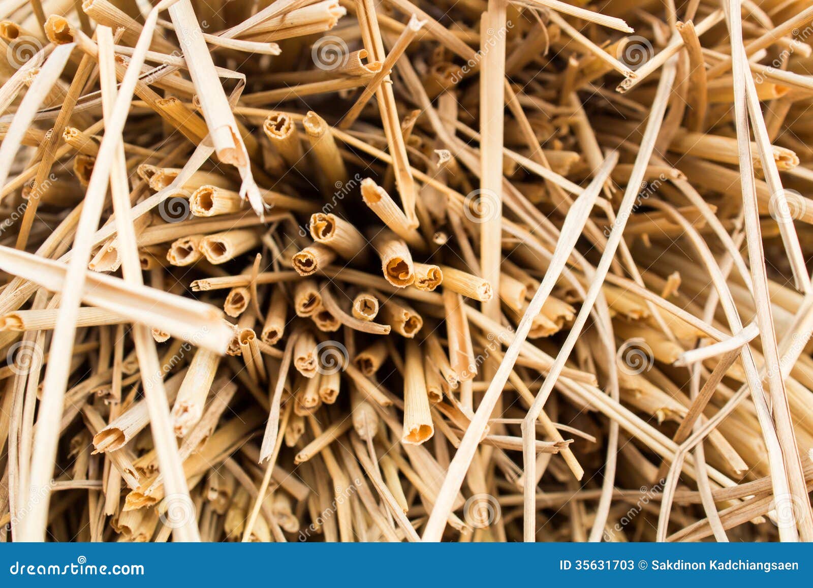 Rice straw stock image. Image of straw, harvest, farmer - 35631703
