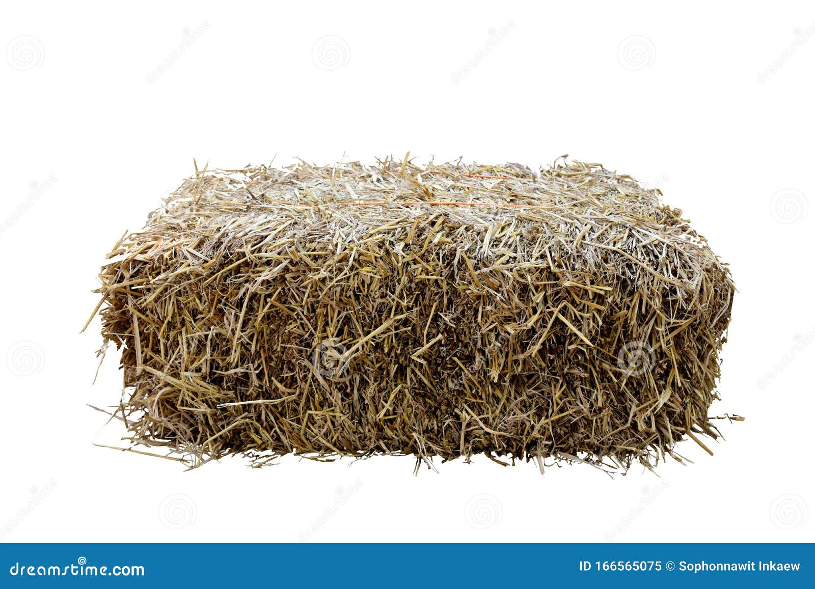Rice Straw Isolated on White Background Stock Image - Image of outdoor ...