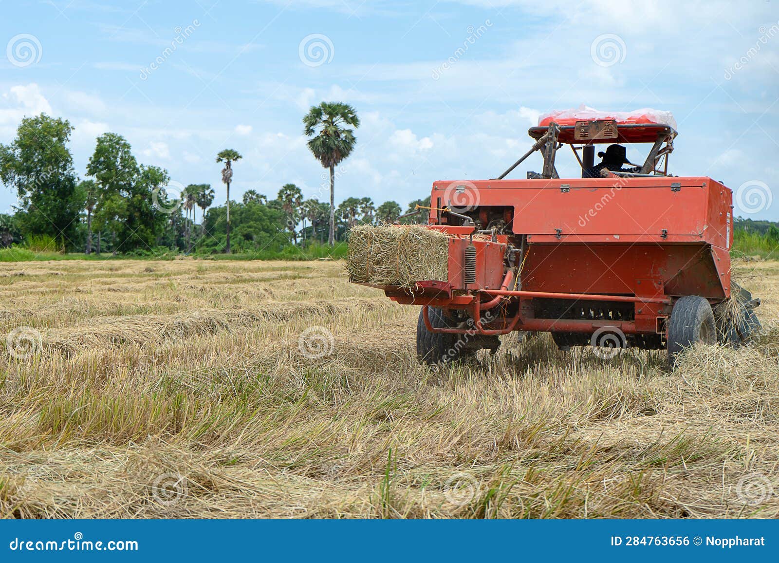 Rice straw machine stock photo. Image of growth, farming - 284763656