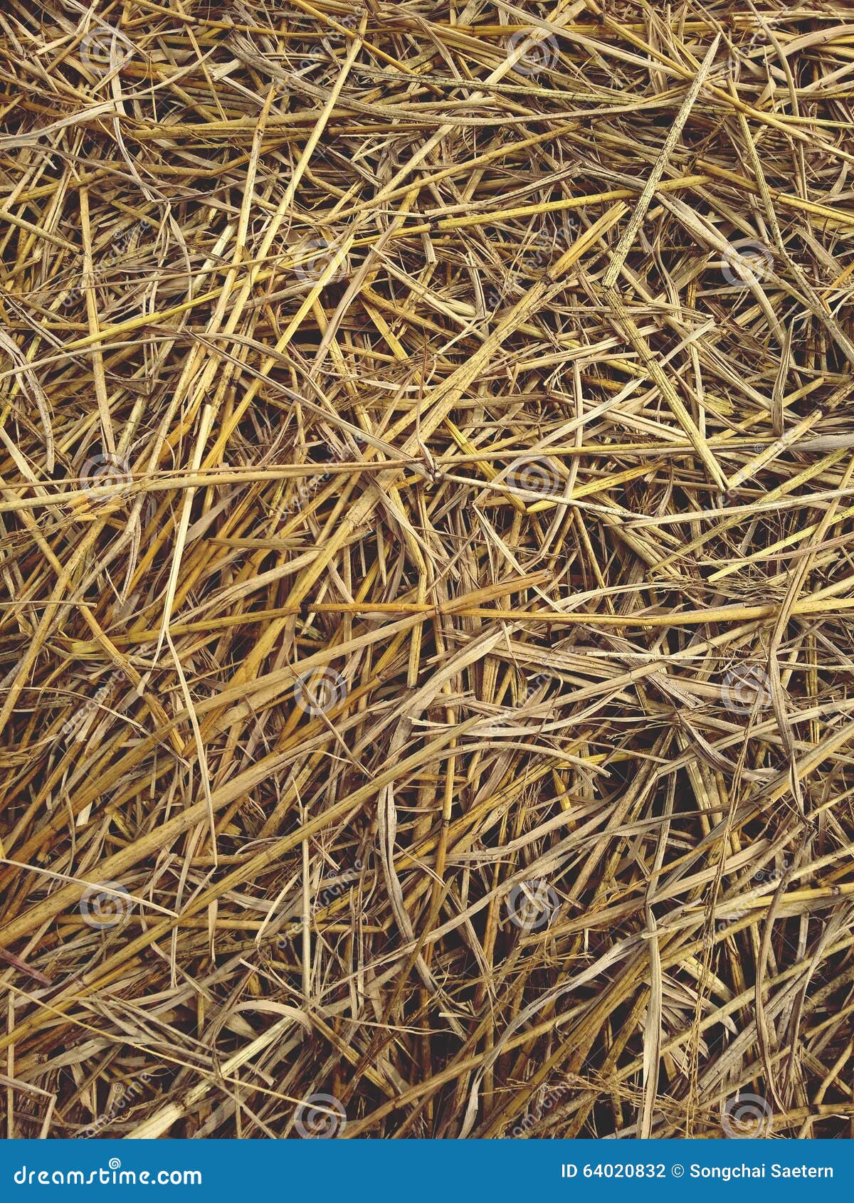Rice straw stock photo. Image of wood, background, grass - 64020832