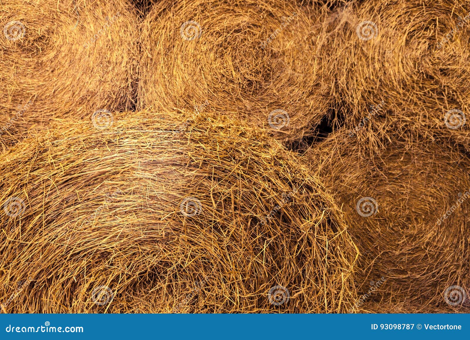 Dry Straw Stacking On Paddy Field At Thailand Countryside In Sunny Day ...