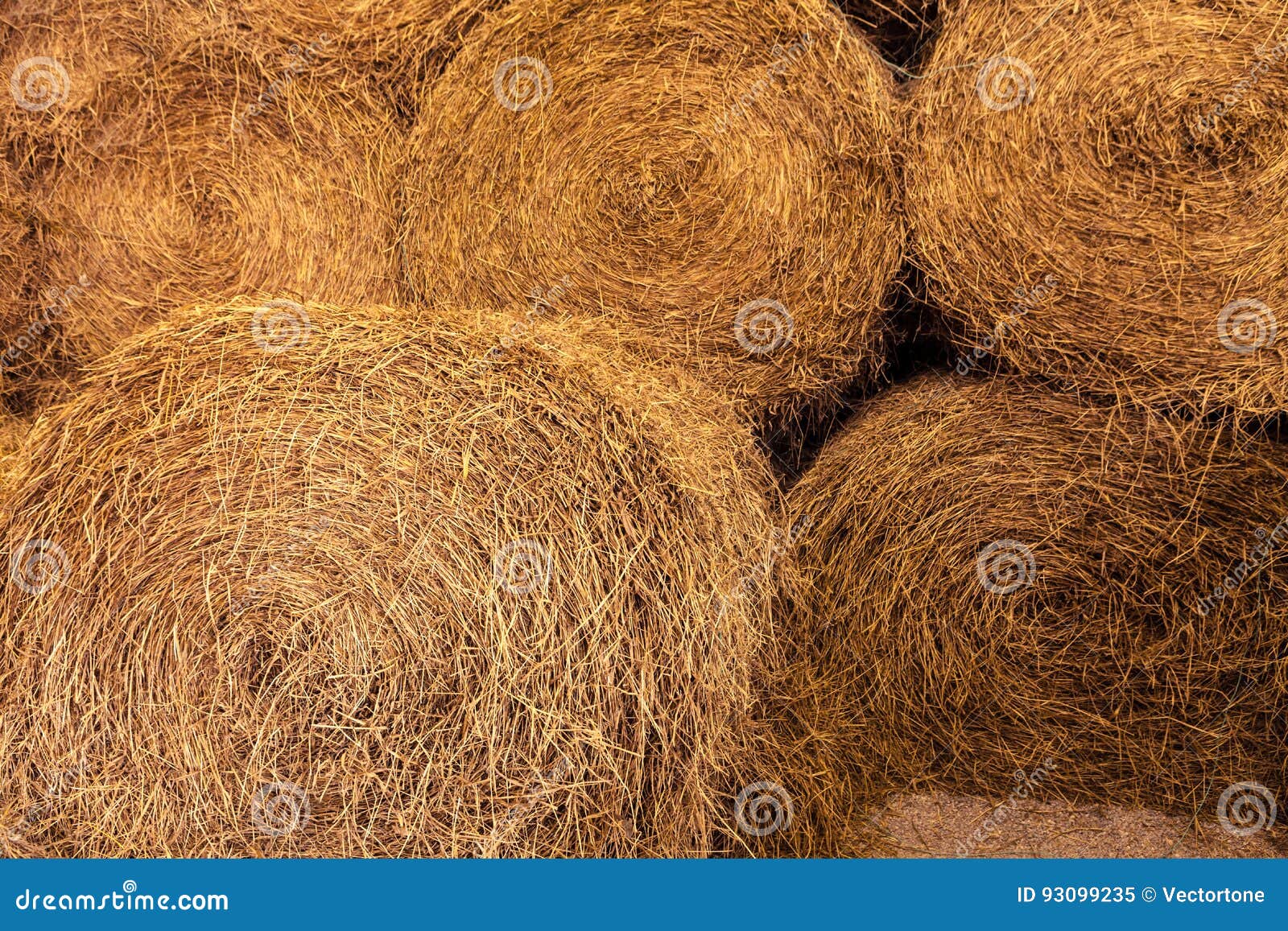 Dry Straw Stacking On Paddy Field At Thailand Countryside In Sunny Day ...
