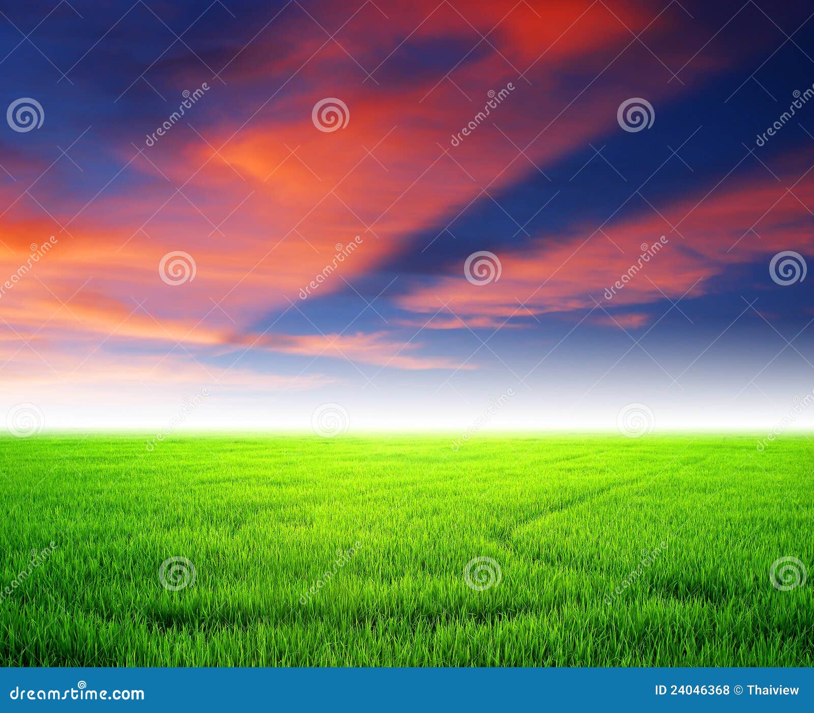 Sunset Farm Scene Between Noupoort And Colesberg, South Africa Royalty ...